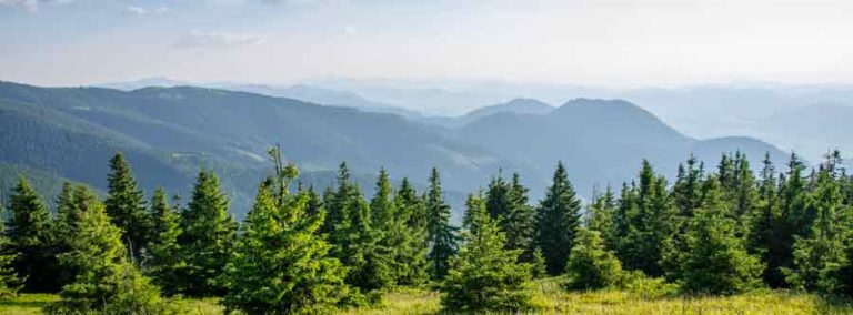 How To Stack Hammocks and Is It Safe? – The Wanderful Wild